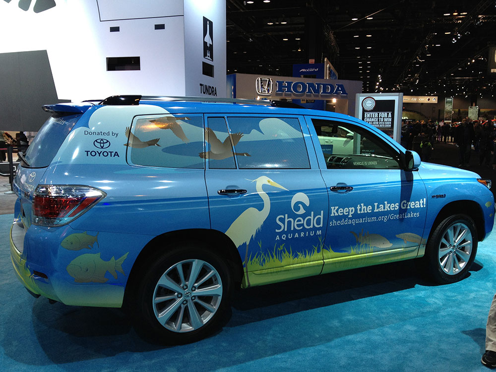 Toyota Highlander Wrap – Lindsey Young