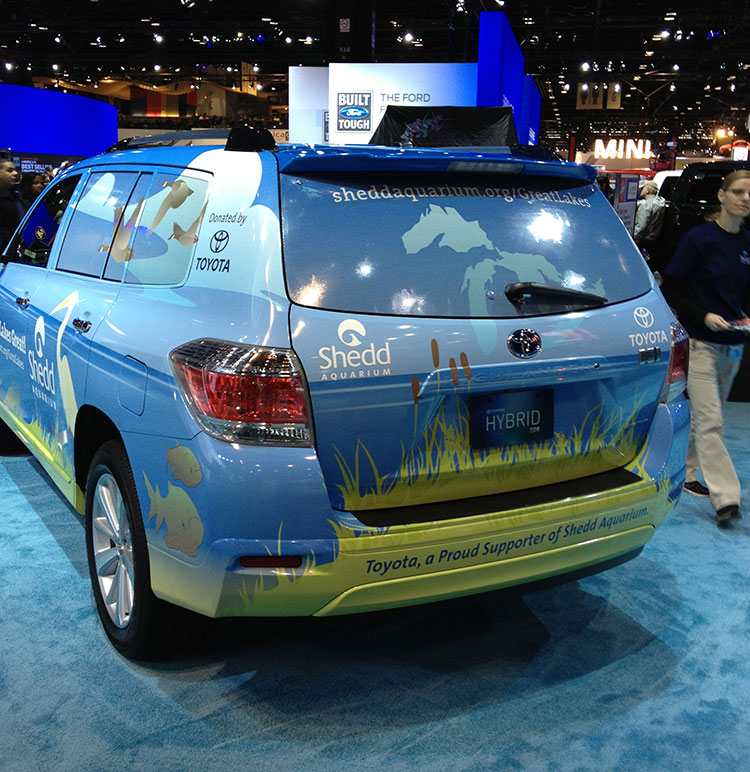 Toyota Highlander Wrap – Lindsey Young