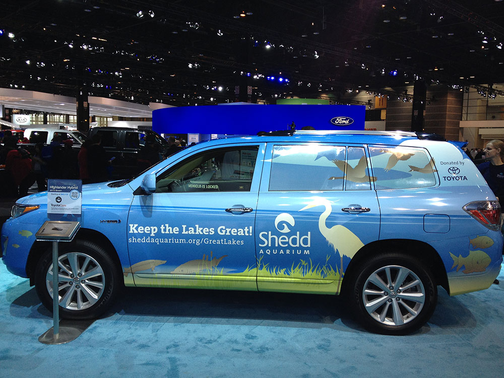 Toyota Highlander Wrap – Lindsey Young