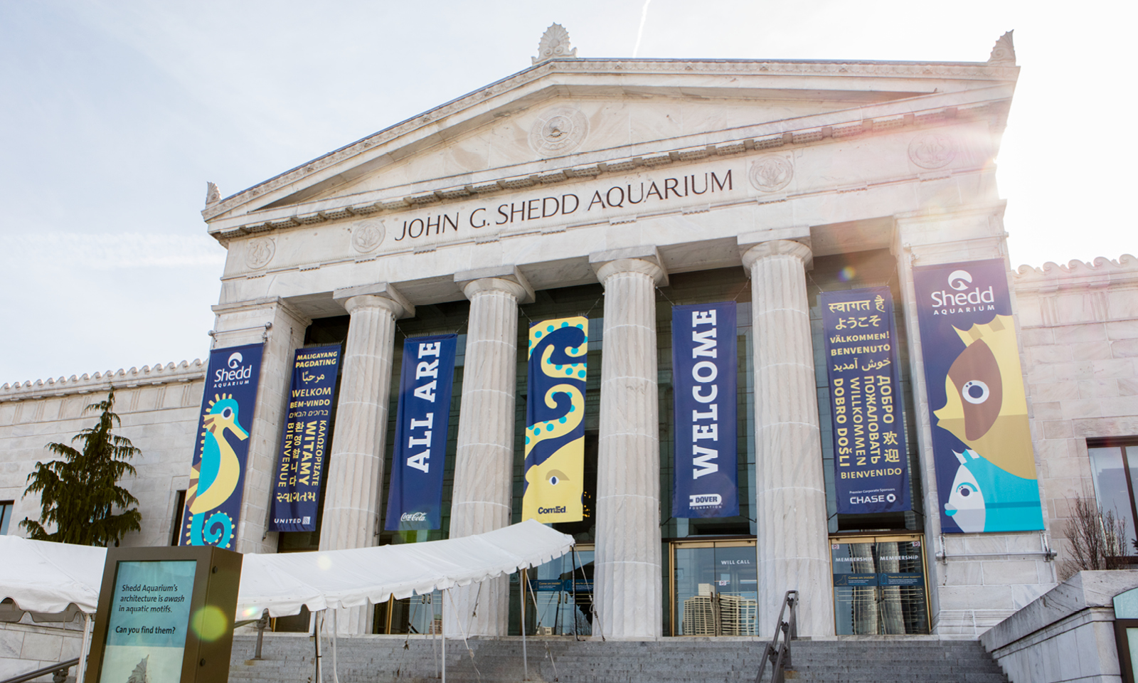 All Are Welcome banners for Shedd Aquarium – Lindsey Young